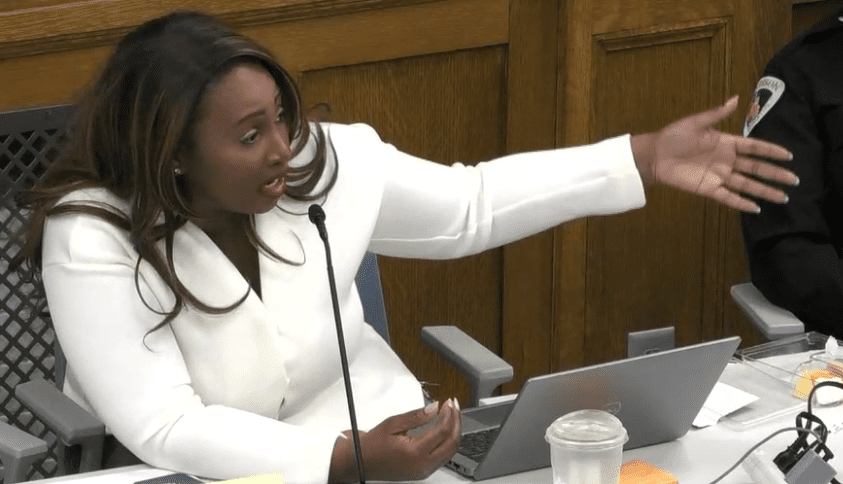 Madison Common Council delays changes to independent police monitor ...